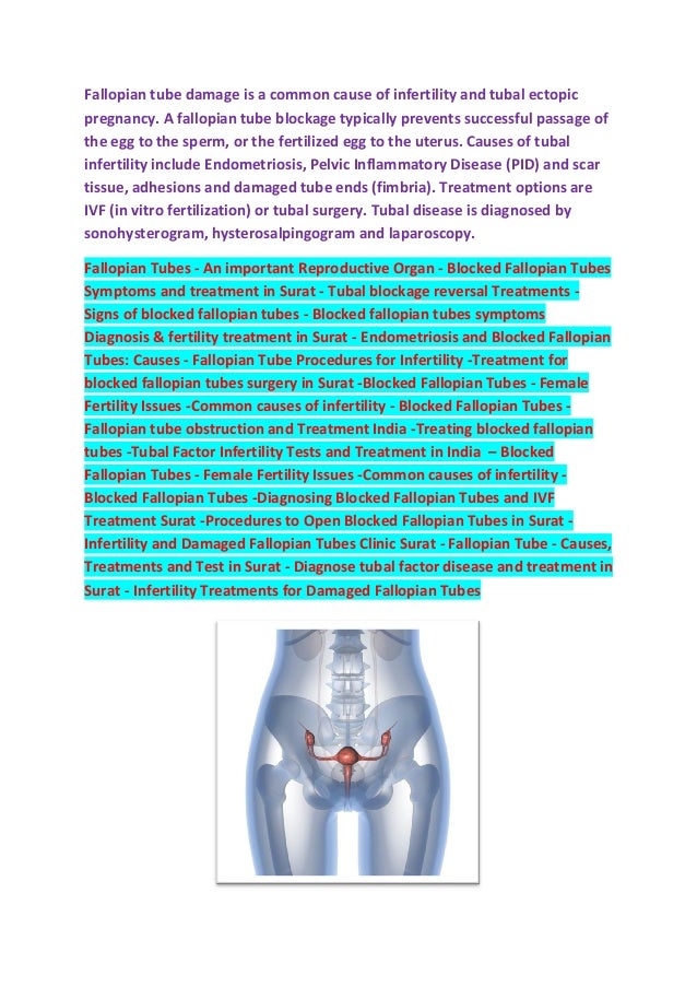 [DIAGRAM] Diagram Showing Fallopian Tubes - WIRINGSCHEMA.COM