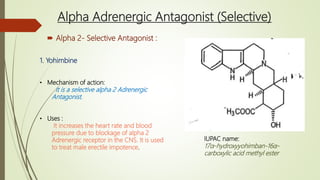 Adrenergic Antagonist/ Sympatholytic drugs | PPTX
