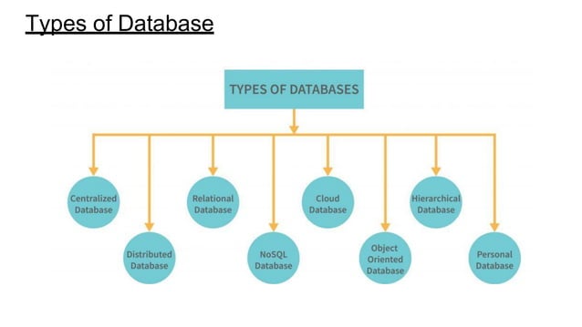 Bloc Basic DBMS in detailed information | PPT