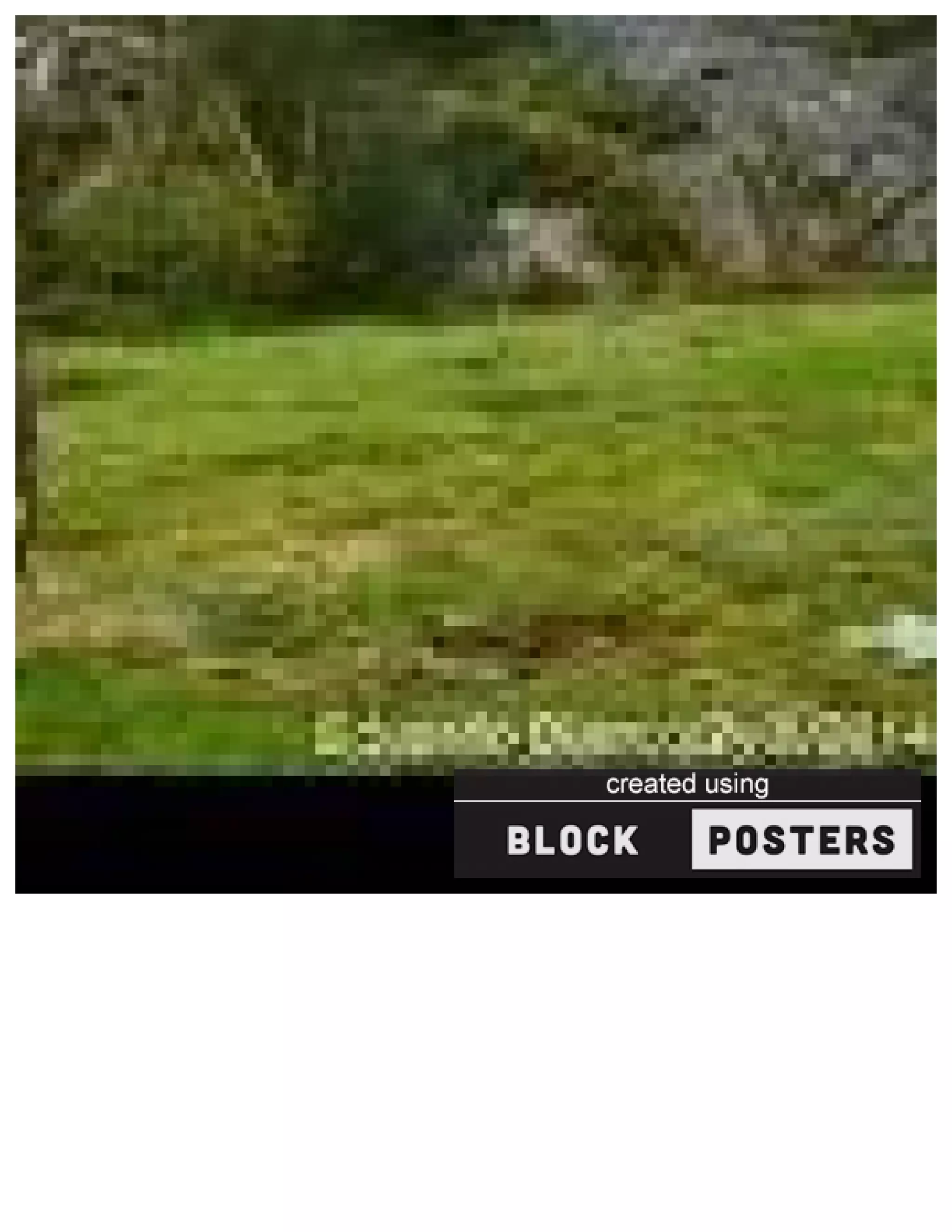 block posters | PDF
