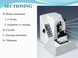 BLOCK PREPARATION.pptx