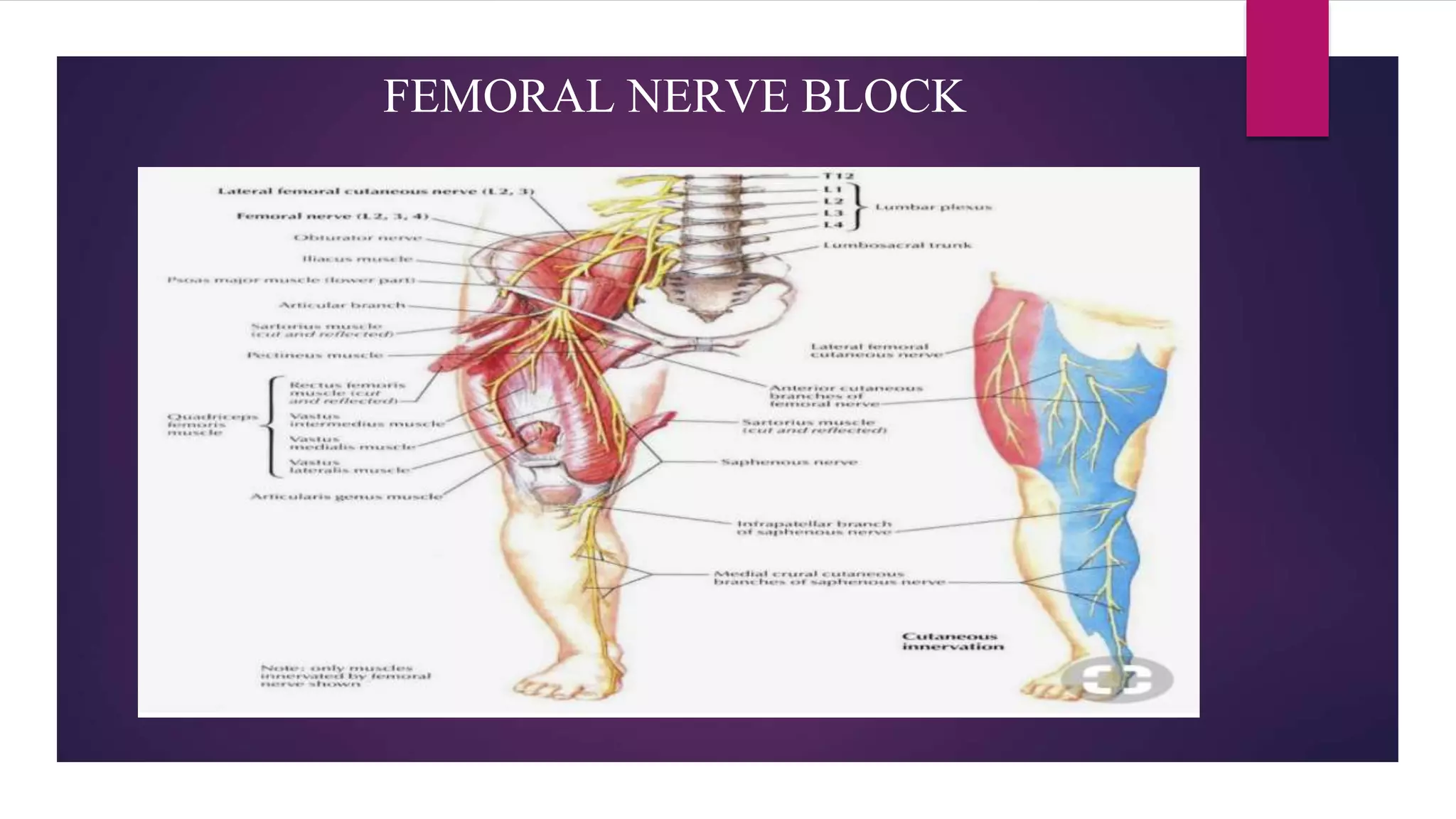 Blocks Lower limb.pptx