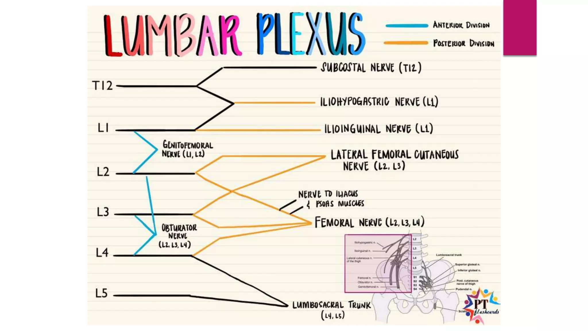 Blocks Lower limb.pptx