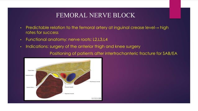 Blocks Lower limb.pptx