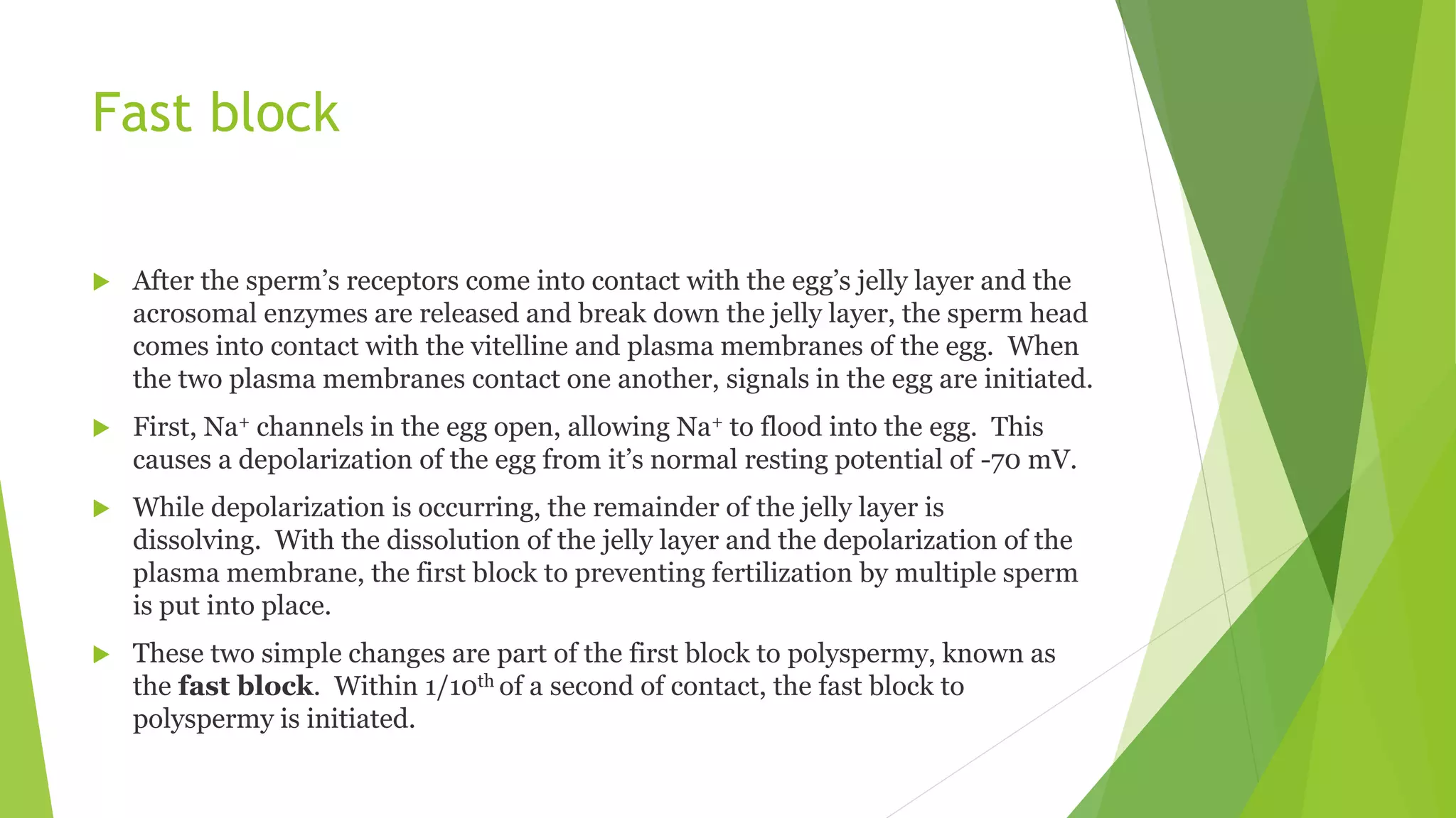 block to polyspermy.pptx