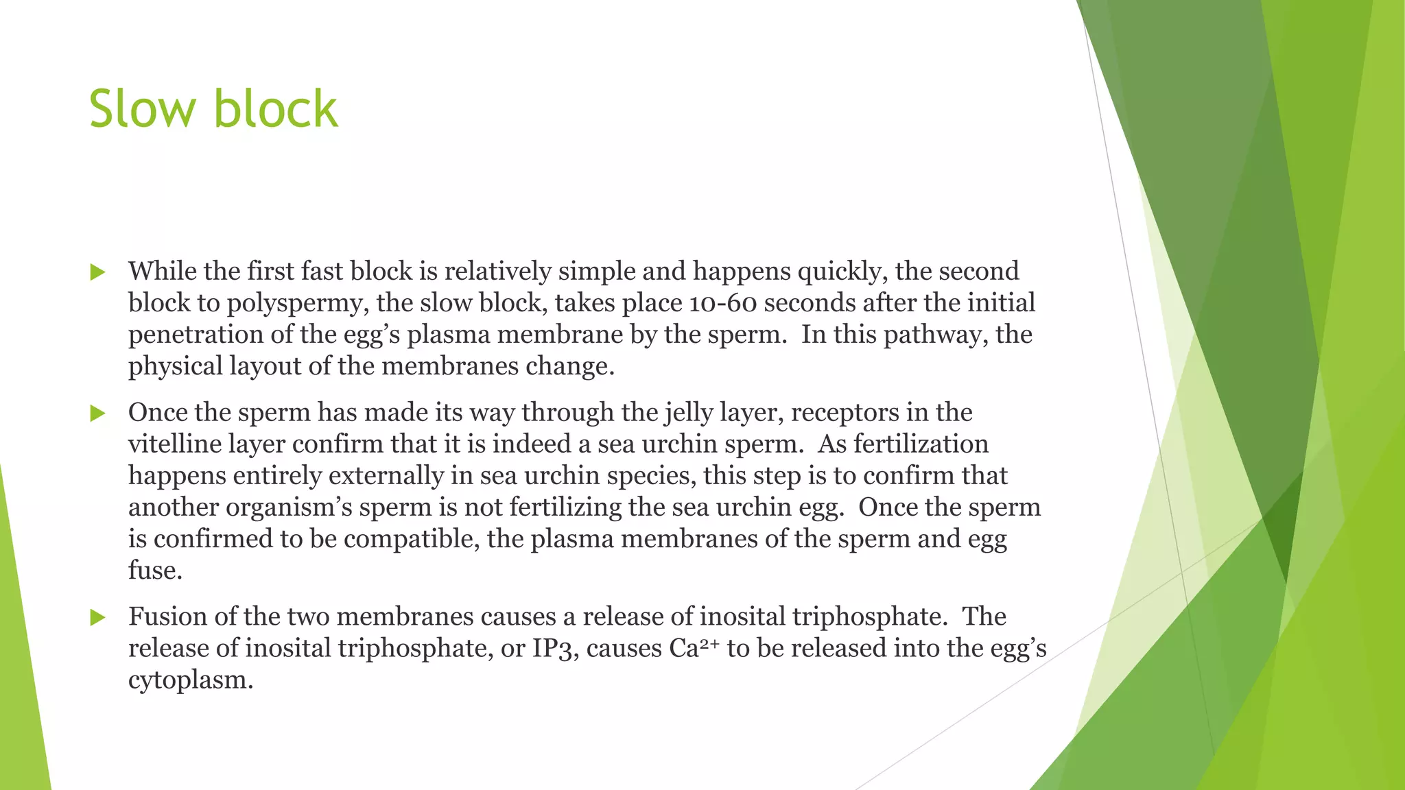 block to polyspermy.pptx