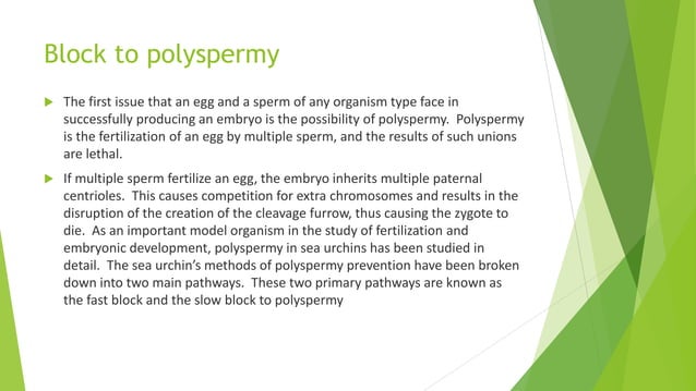 block to polyspermy.pptx | Infertility | Reproductive Health