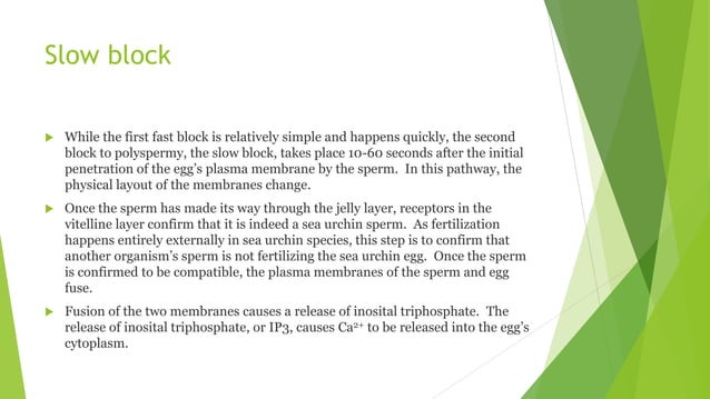 block to polyspermy.pptx | Infertility | Reproductive Health