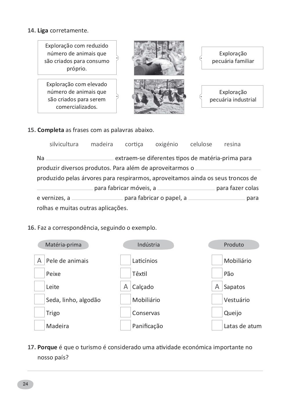 Fichas de Avaliação Estudo do Meio_3.º Ano