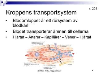 Blodomloppet | PPT