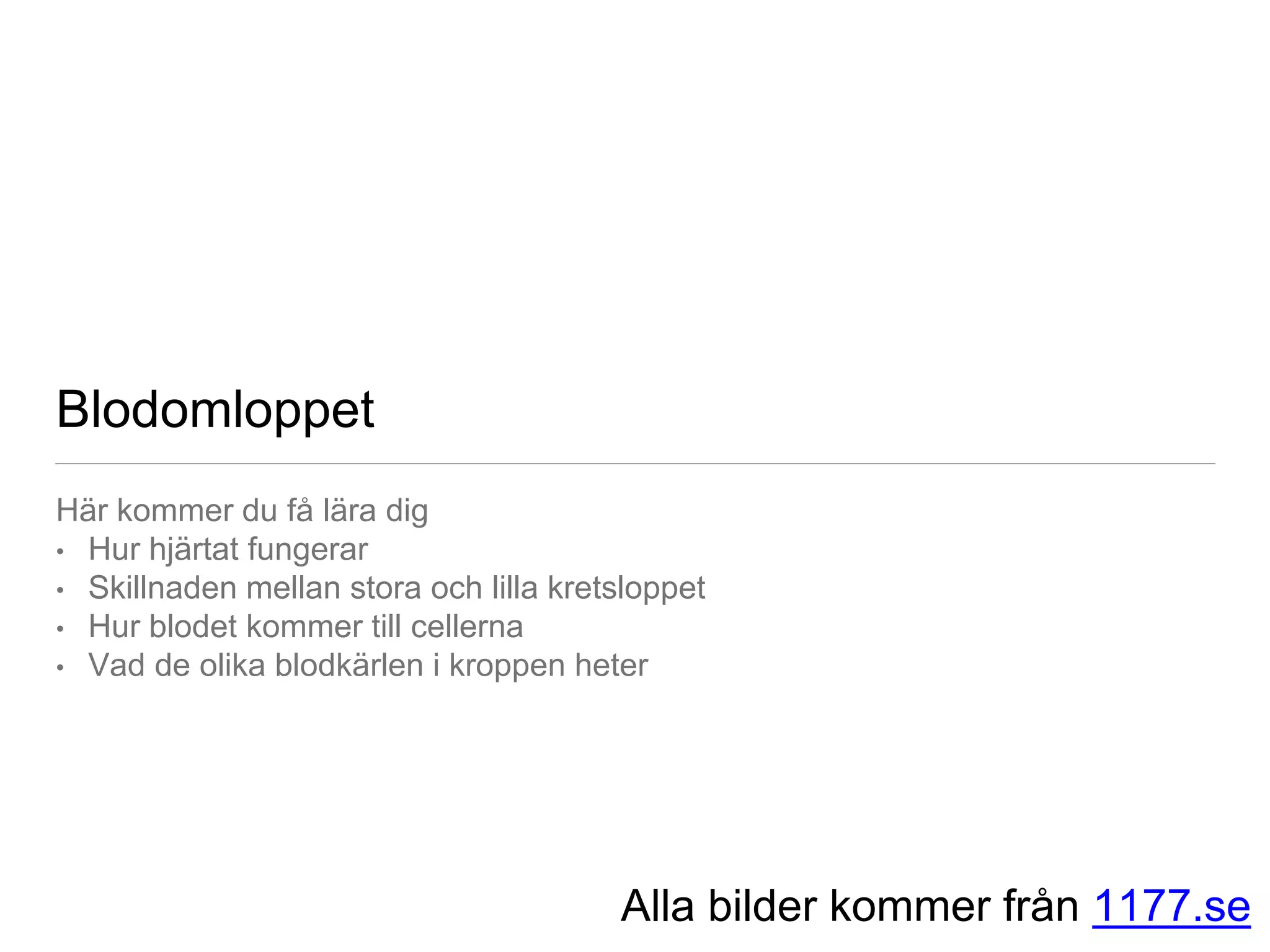 Blodomloppet och gasutbyte | PPTX