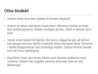 Blodomloppet och gasutbyte | PPTX