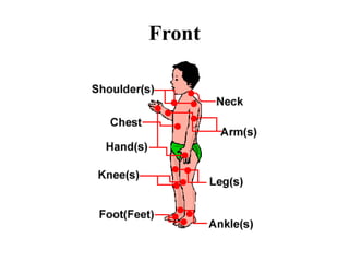 Let's learn the Human Body in English | PPTX