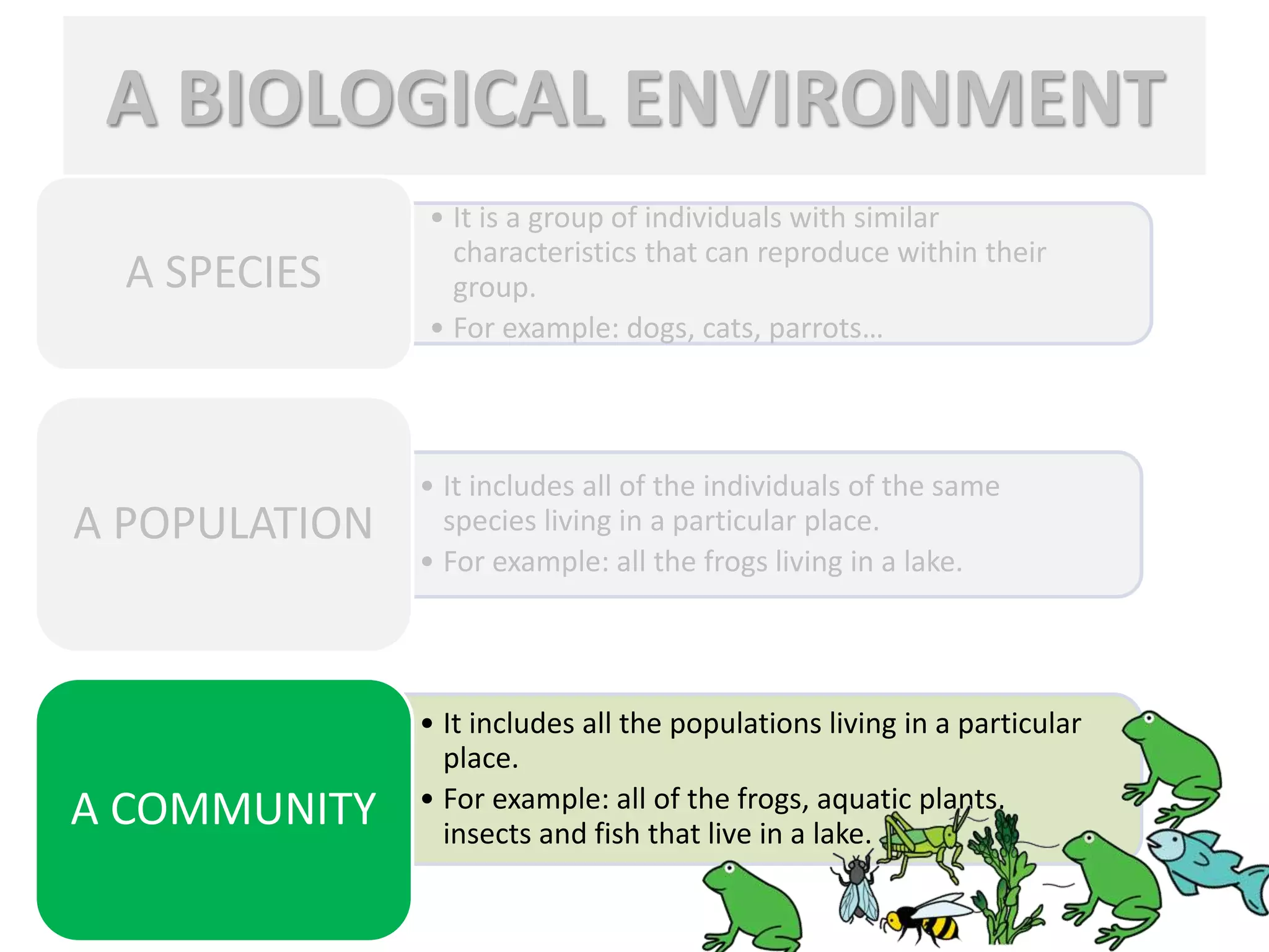 Ecosystems - Natural Science | PPTX