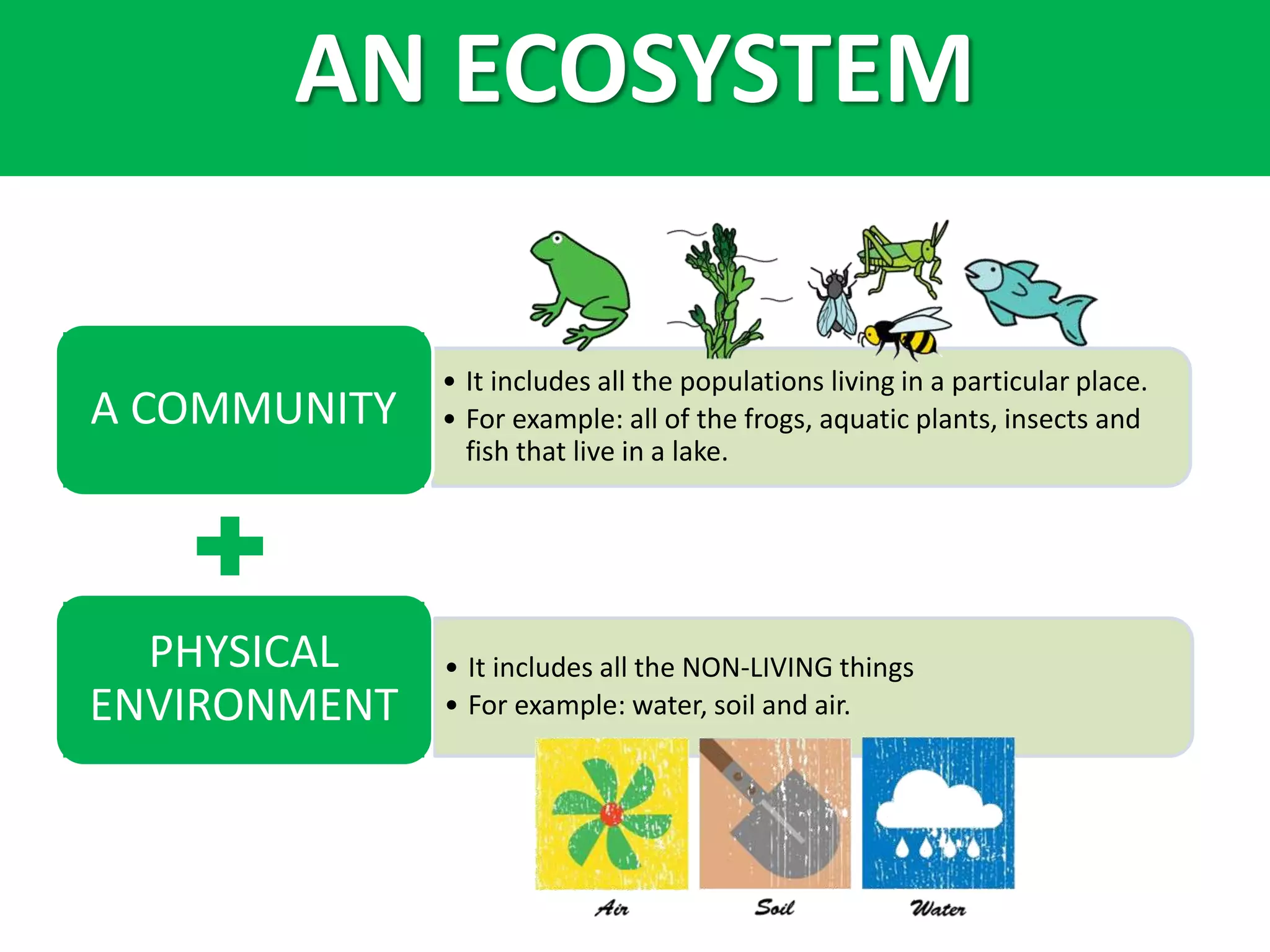 Ecosystems - Natural Science | PPTX