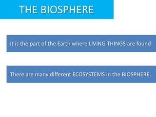 Ecosystems - Natural Science | PPTX