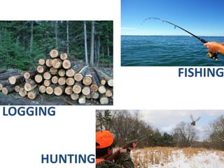 Ecosystems - Natural Science | PPTX