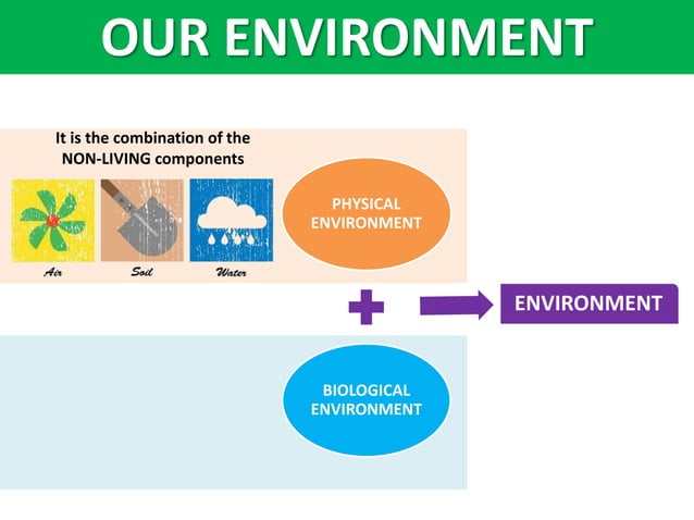 Ecosystems - Natural Science | PPTX