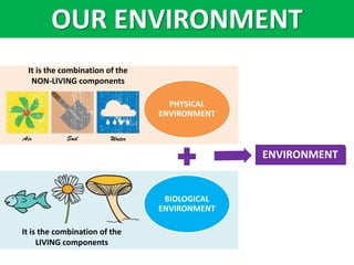Ecosystems - Natural Science | PPTX