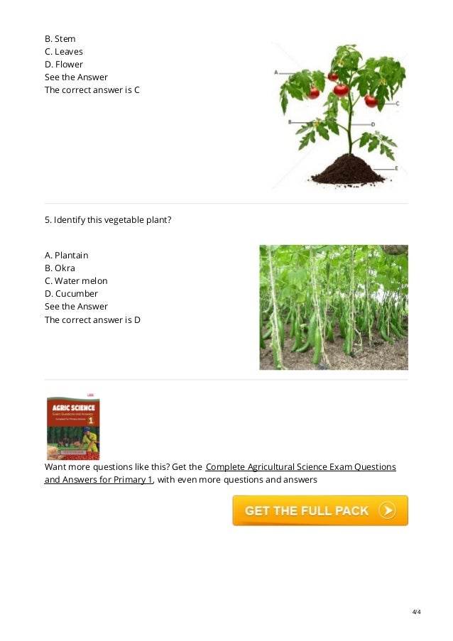 Free Agricultural Science Examination Questions And Answers For Primary 1 free-agricultural-science-examination-questions-and-answers-for-primary-1