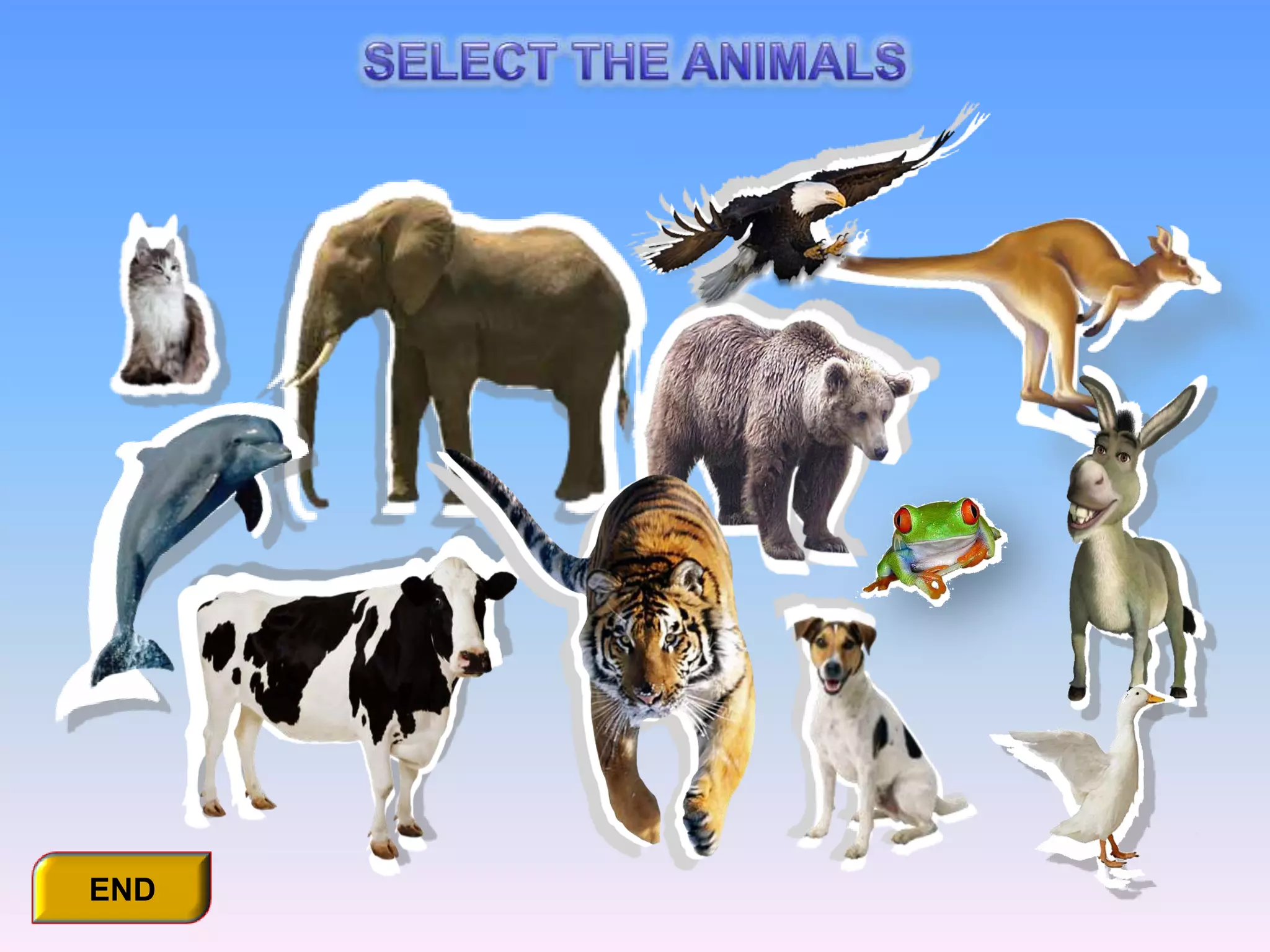 Animals & Their young | PPSX