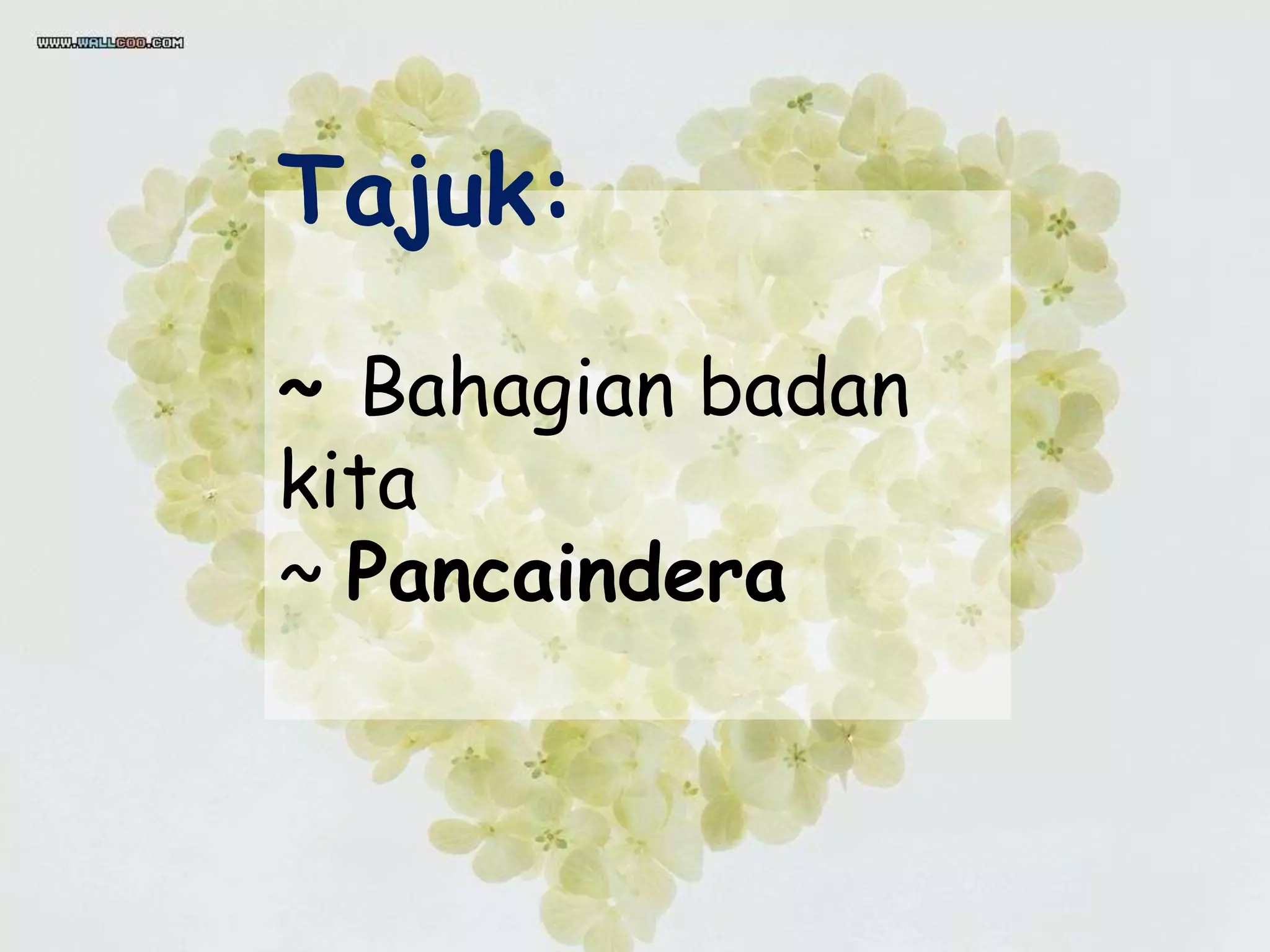 Bahagian badan & pancaindera | PPTX