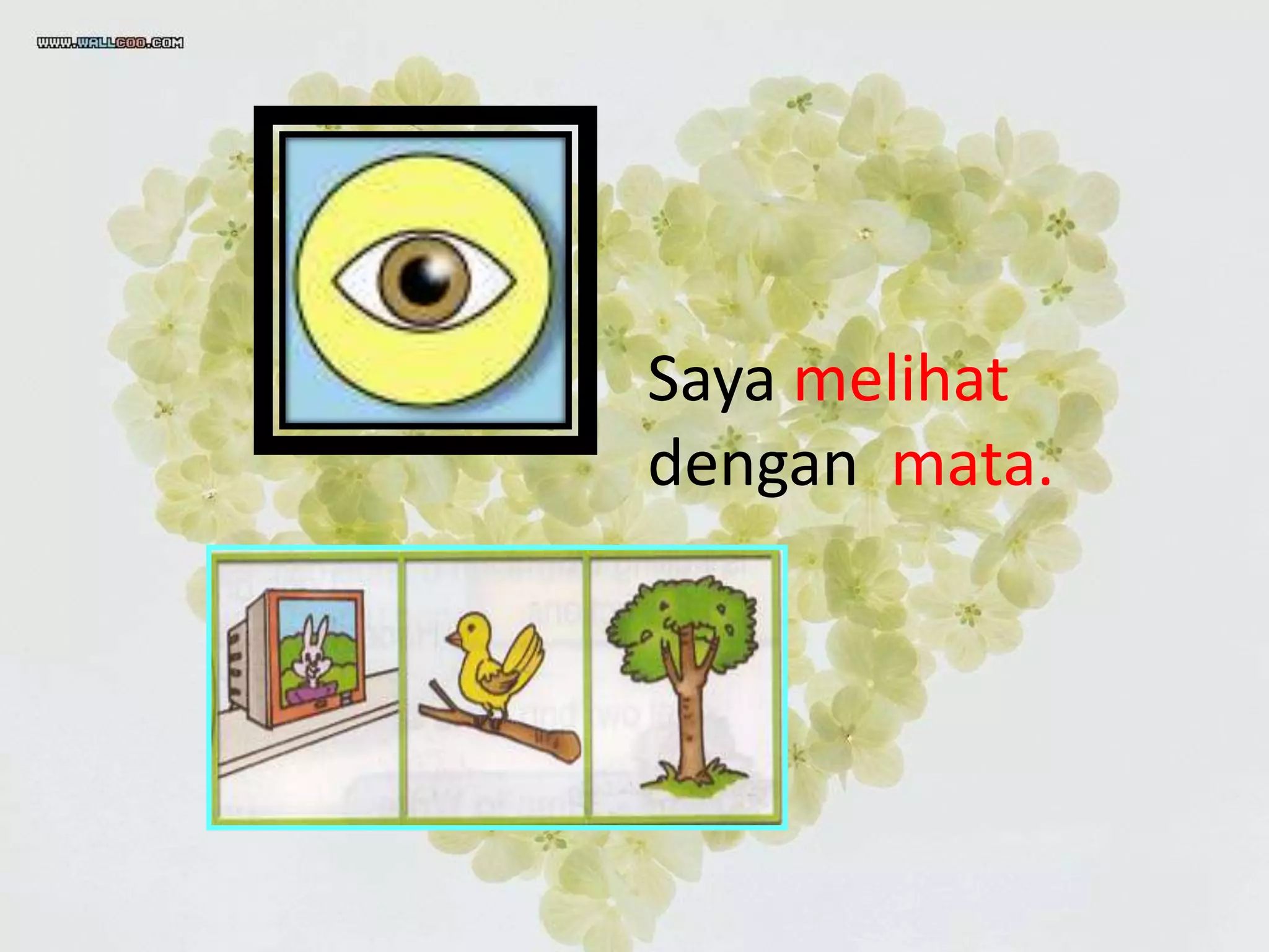 Bahagian badan & pancaindera | PPTX