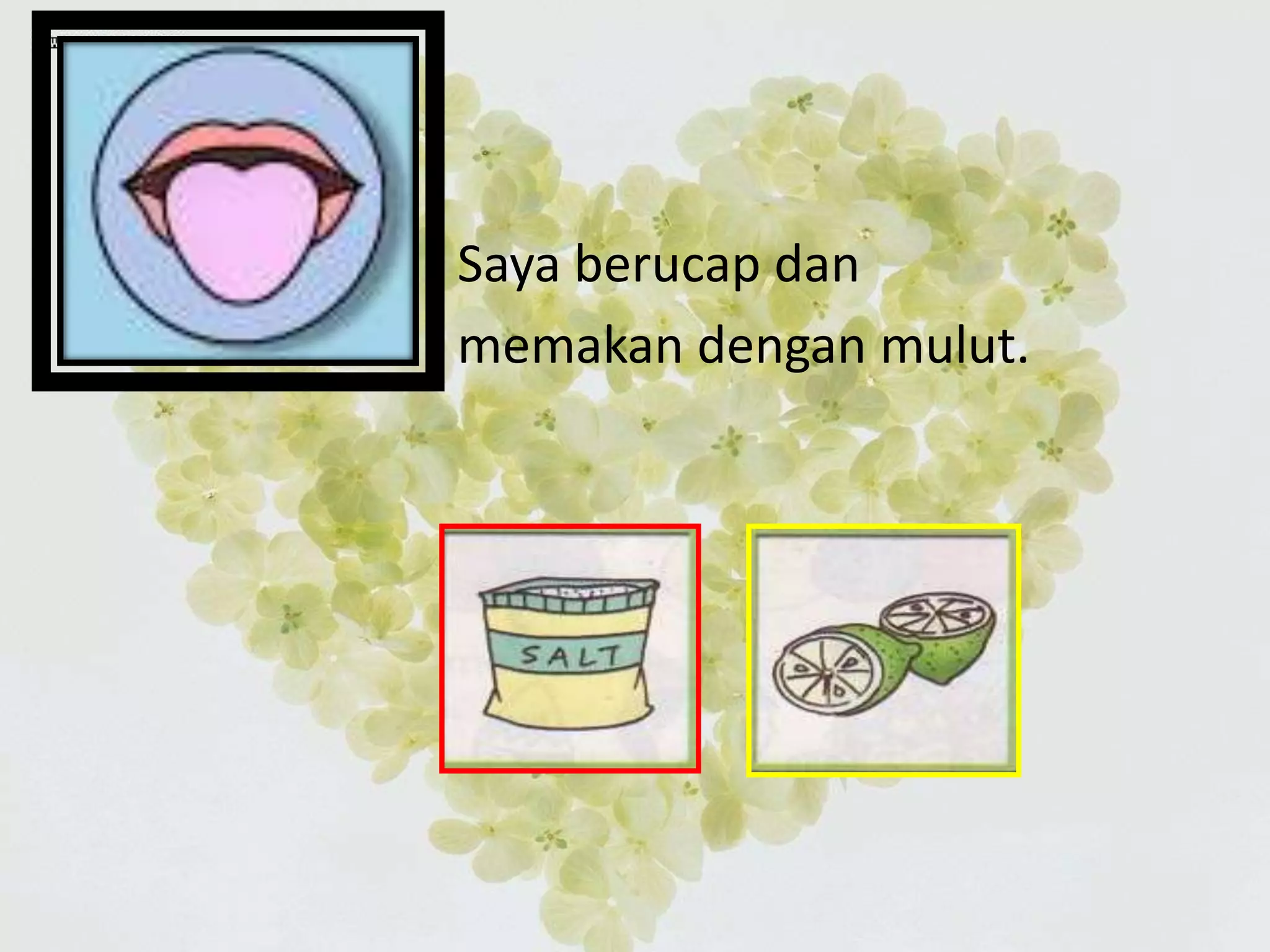 Bahagian badan & pancaindera | PPTX