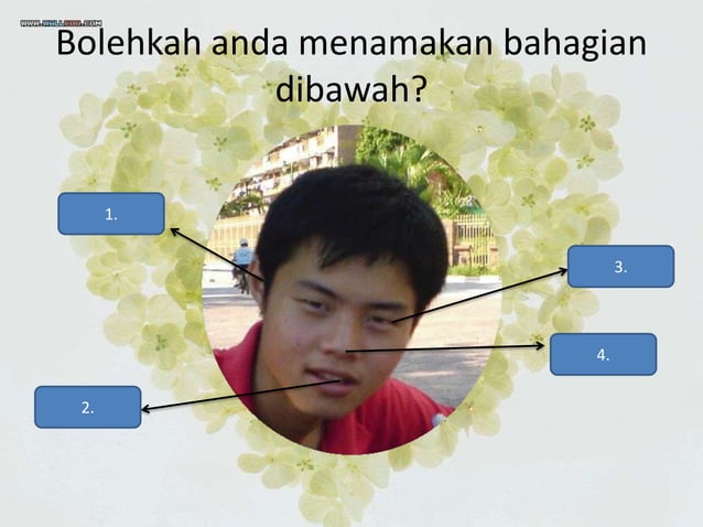 Bahagian badan & pancaindera | PPTX