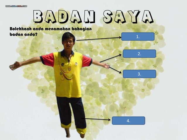 Bahagian badan & pancaindera | PPTX