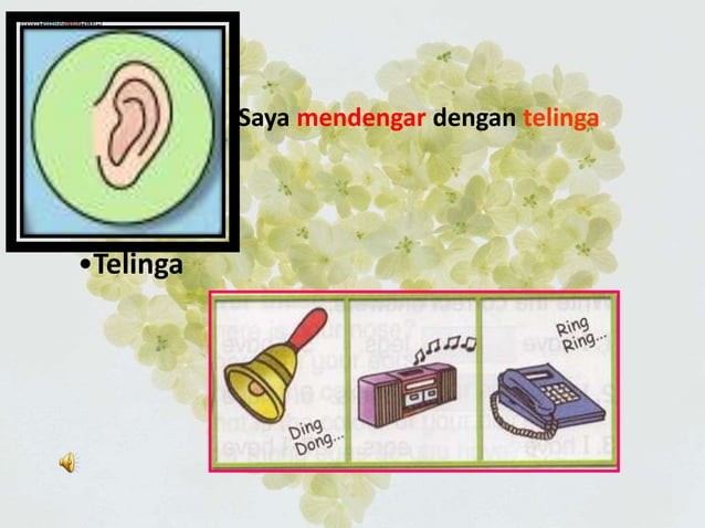 Bahagian badan & pancaindera | PPTX