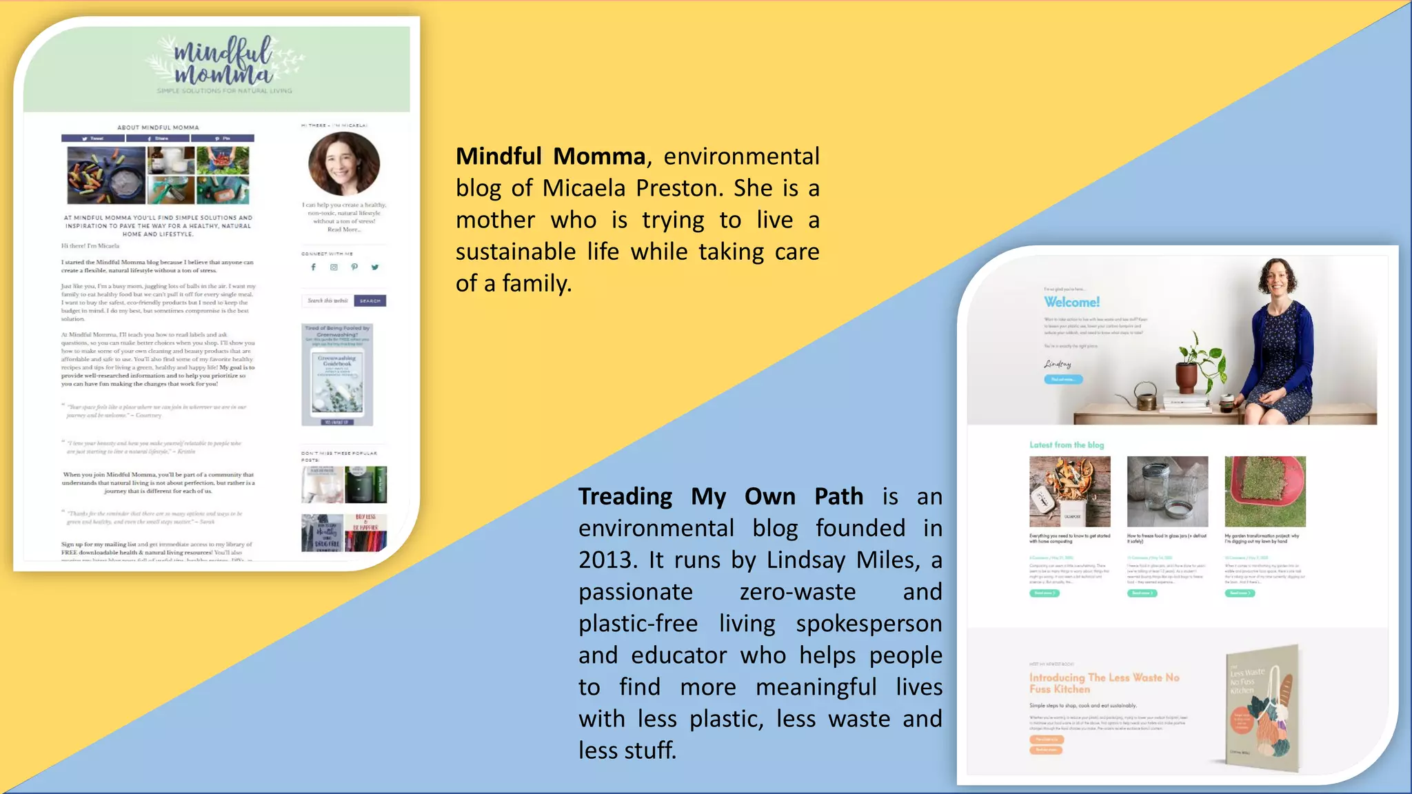 Comparison between two blogs | PPT