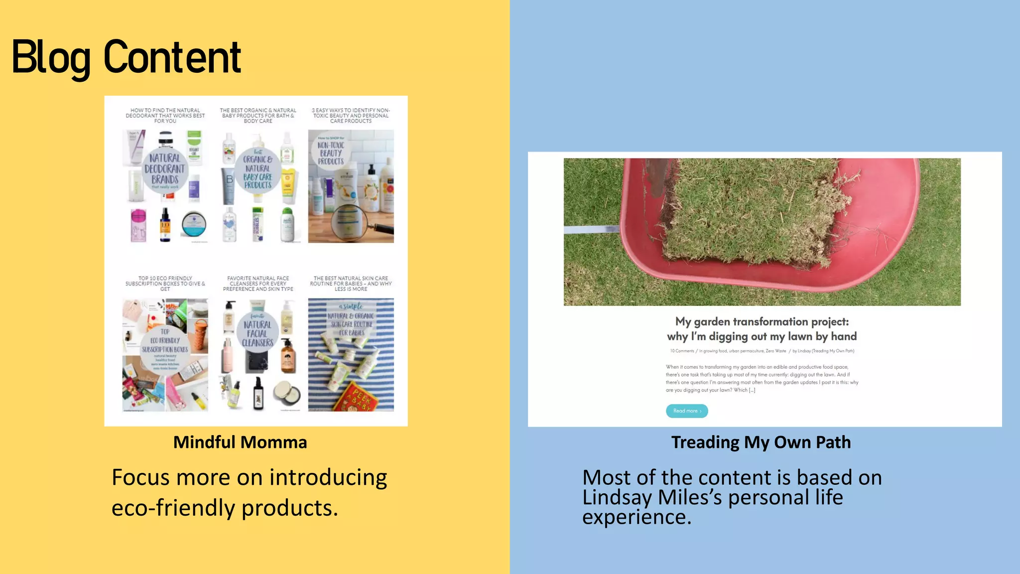 Comparison between two blogs | PPT