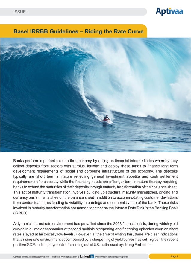 Blog 2017 01_irrbb - basel irrbb guidelines | PDF