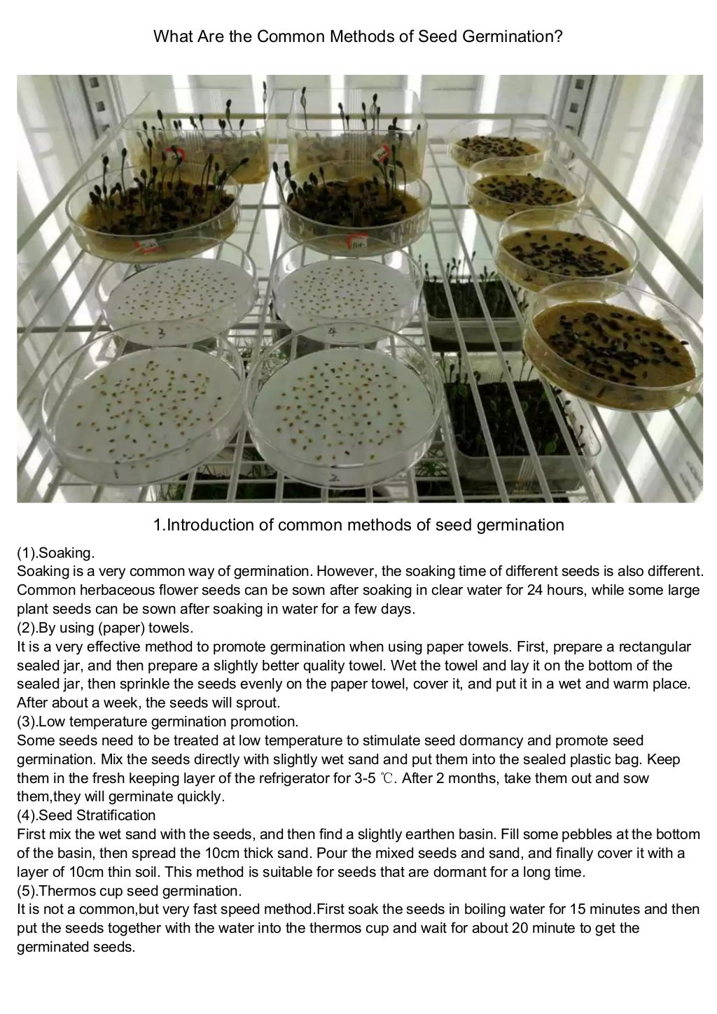 What Are the Common Methods of Seed Germination | PDF