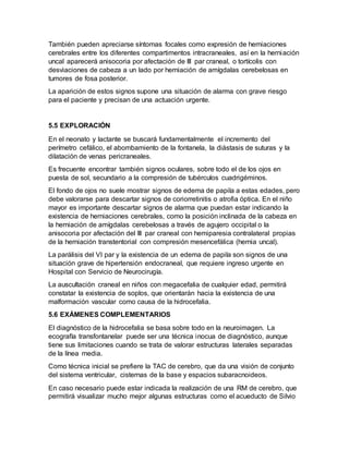 Blog2 hidrocefalea | DOCX