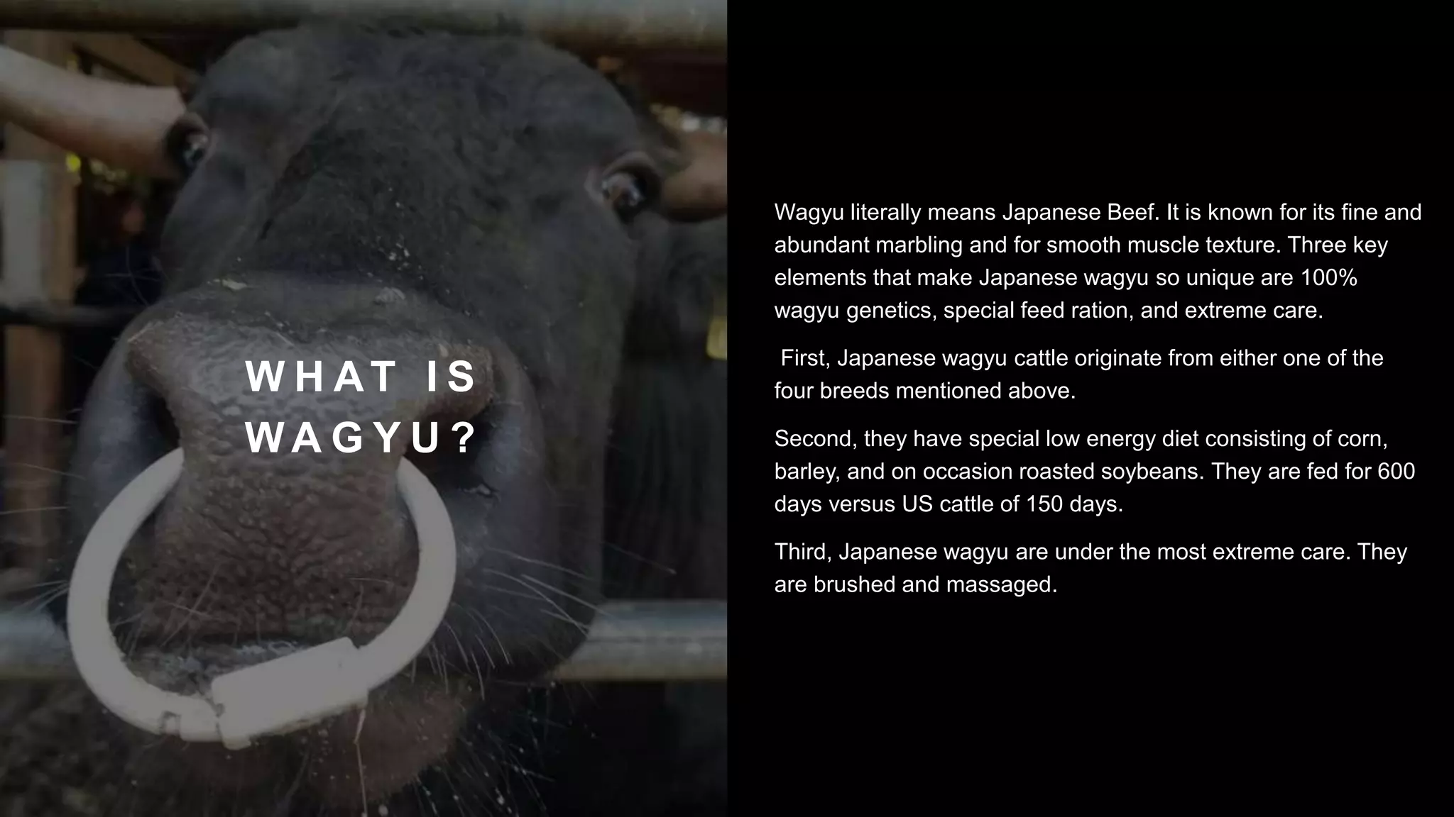 What is Wagyu Beef | PPTX