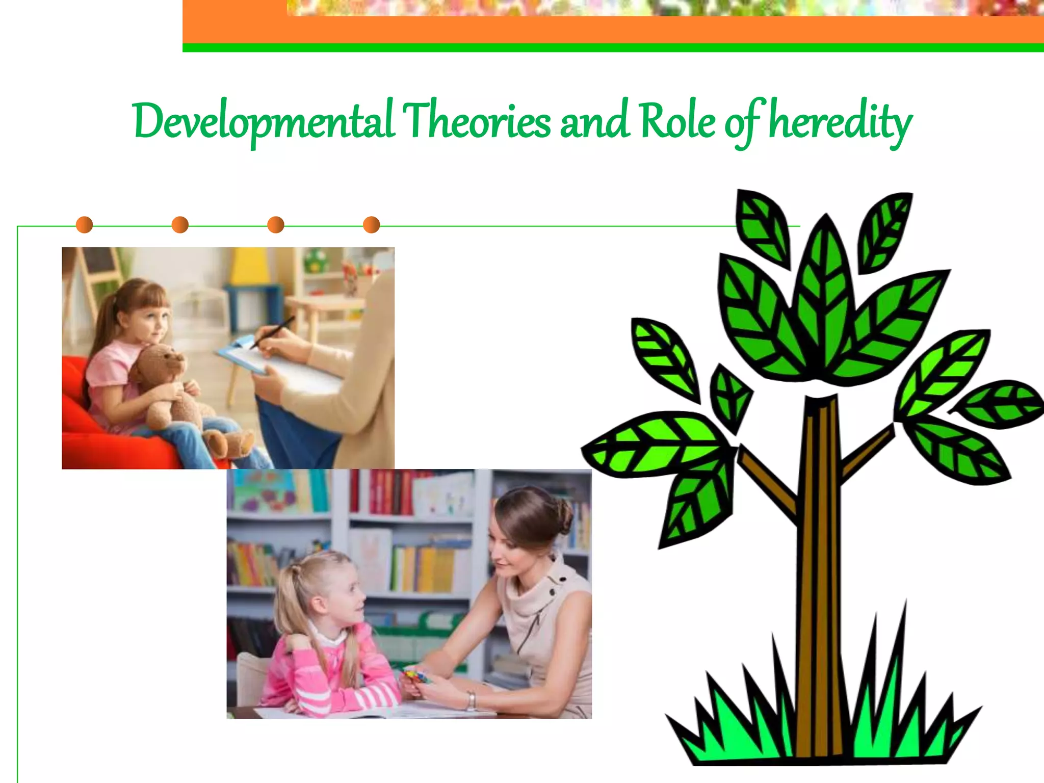 developmental theories.ppt | Genetics | Science