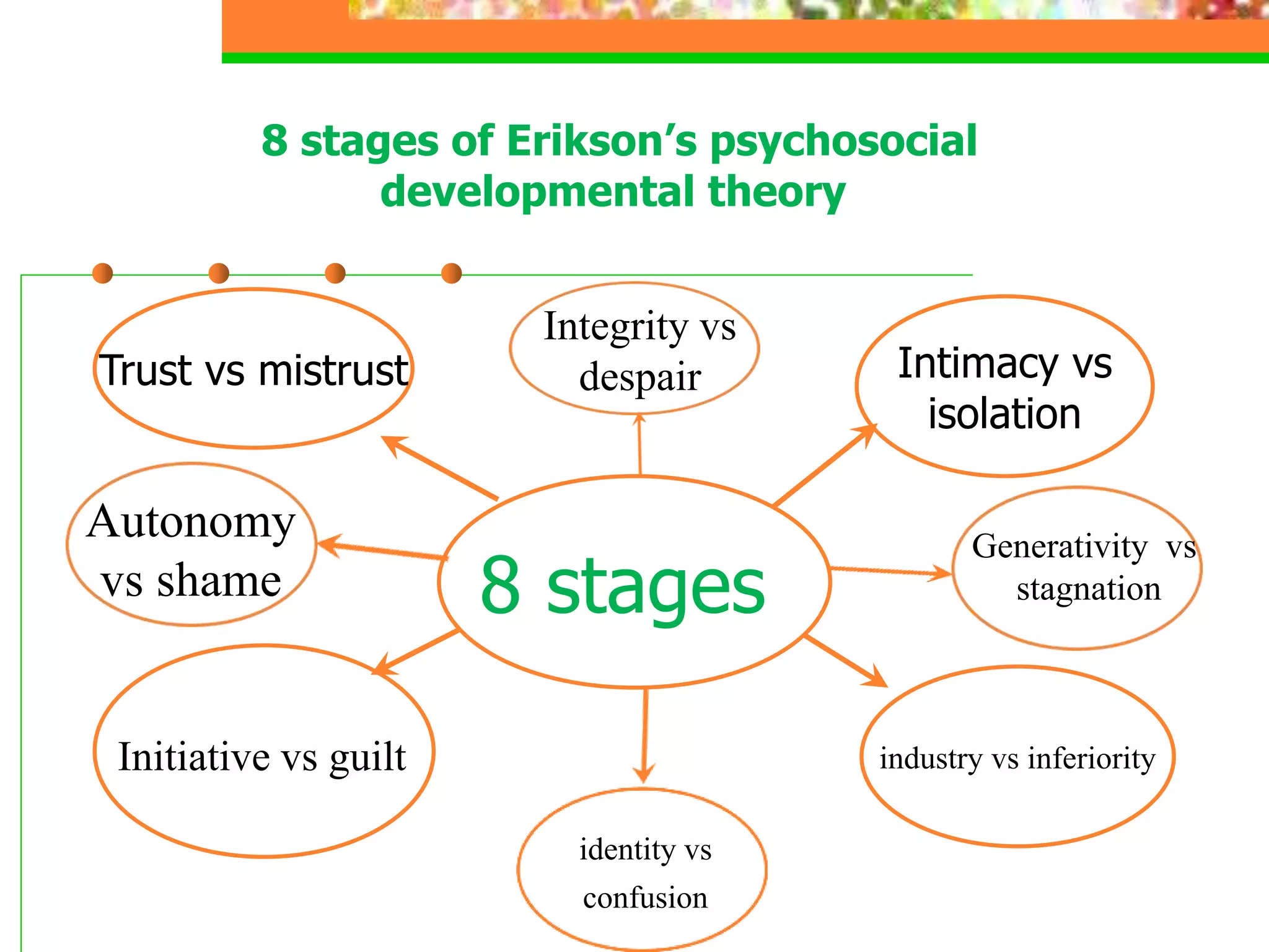 developmental theories.ppt | Genetics | Science