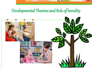 developmental theories.ppt