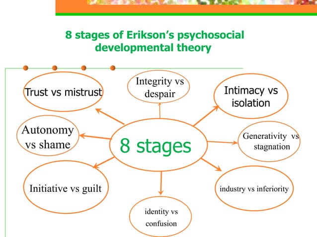 developmental theories.ppt | Genetics | Science