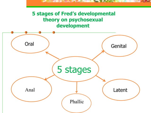 developmental theories.ppt | Genetics | Science