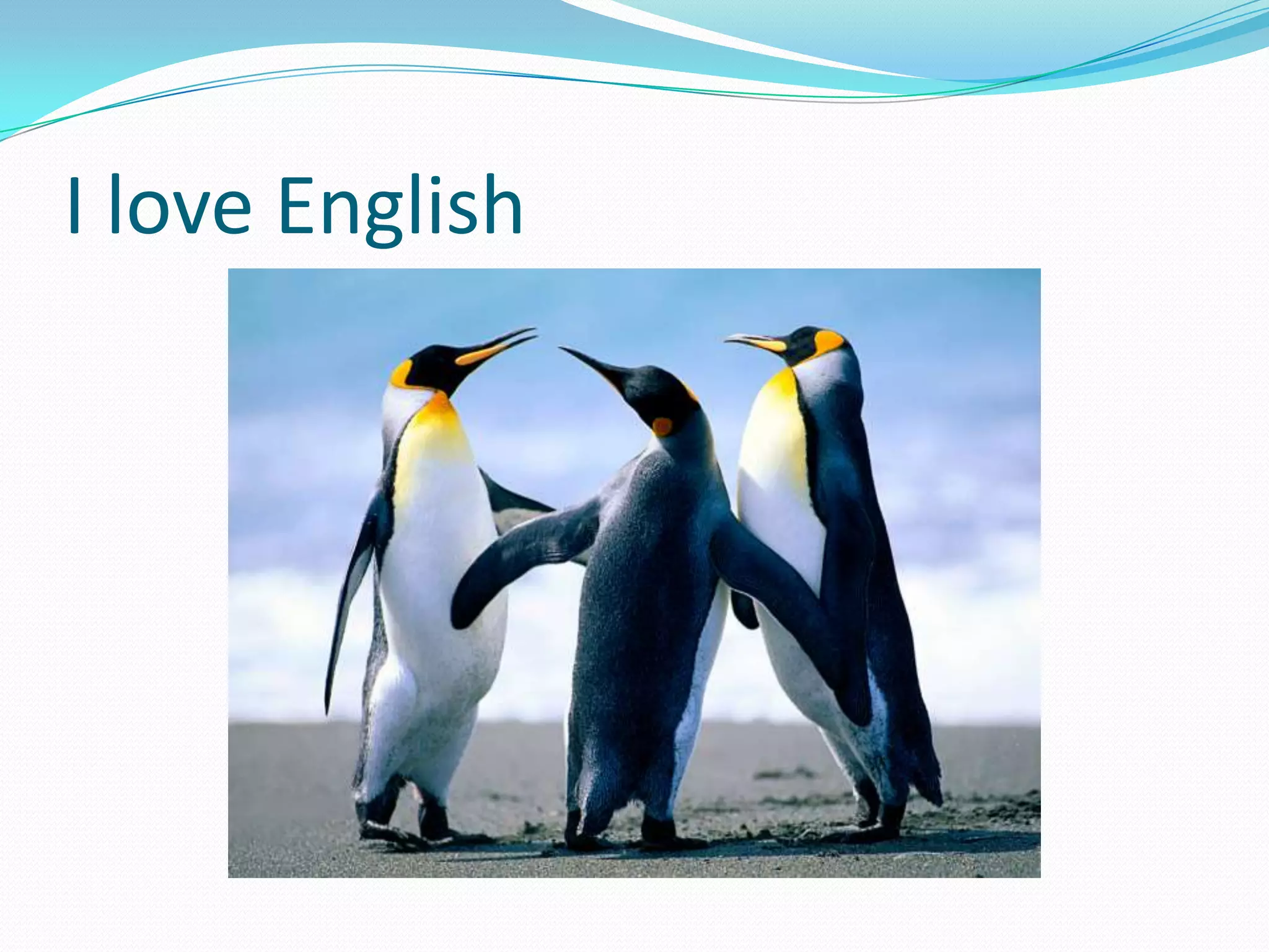 Blogpresentation | PPTX