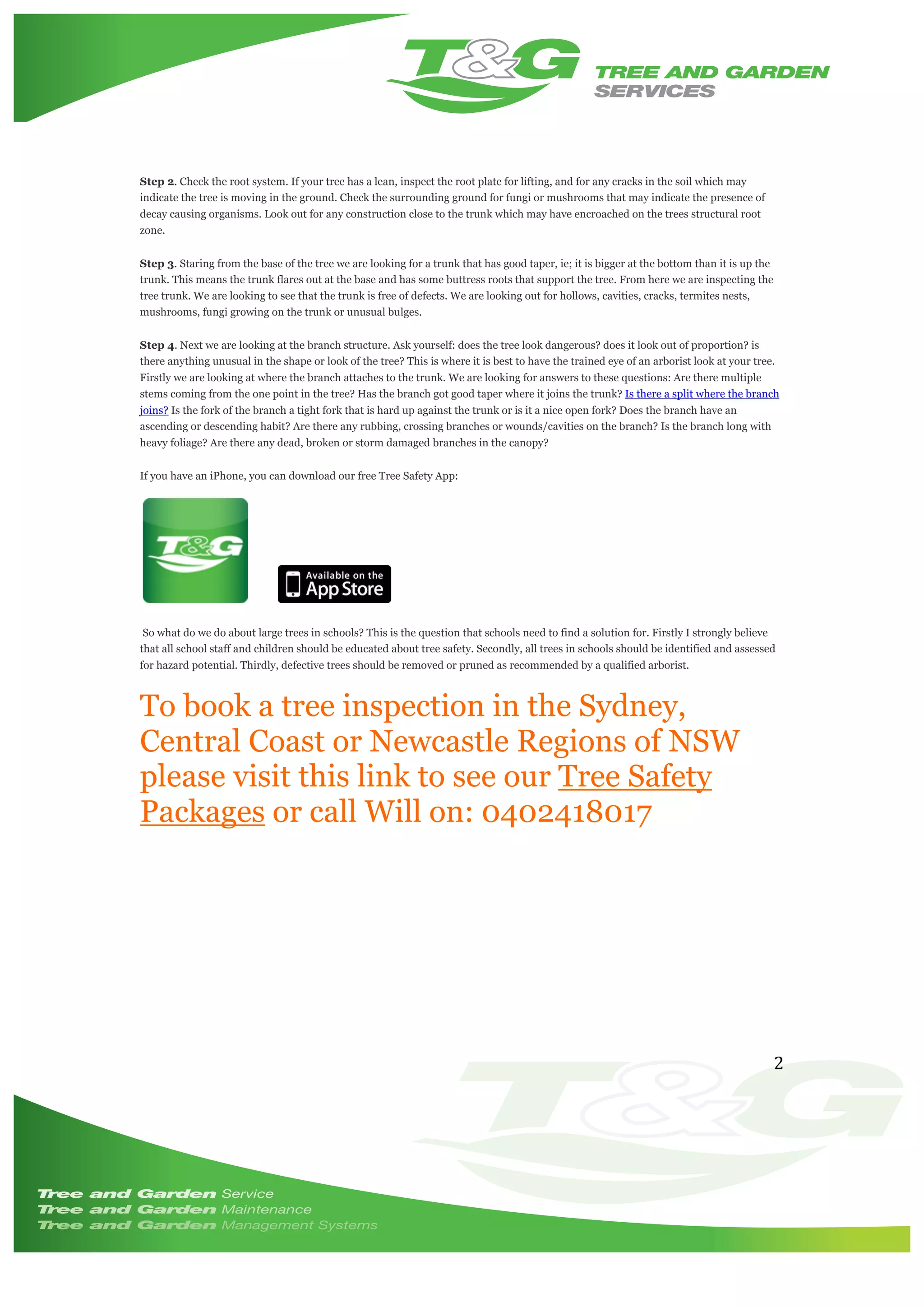 Tree Safety in Schools | PDF
