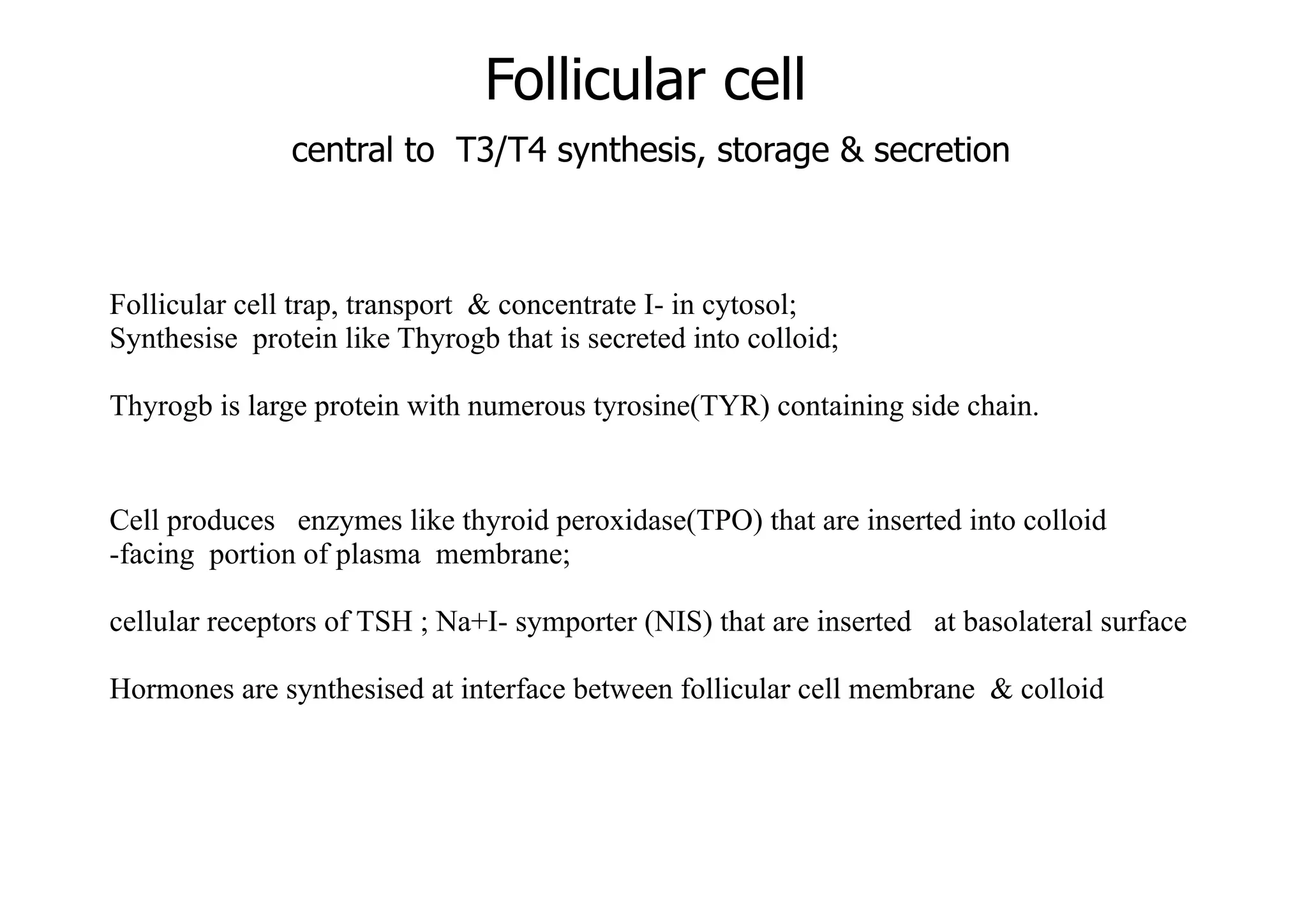 Functions of Thyroid hormones T3 /T4 & steps of synthesis using iodine ...