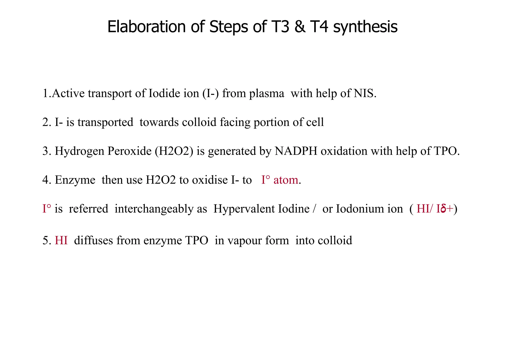 Functions of Thyroid hormones T3 /T4 & steps of synthesis using iodine ...