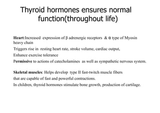 Functions of Thyroid hormones T3 /T4 & steps of synthesis using iodine ...