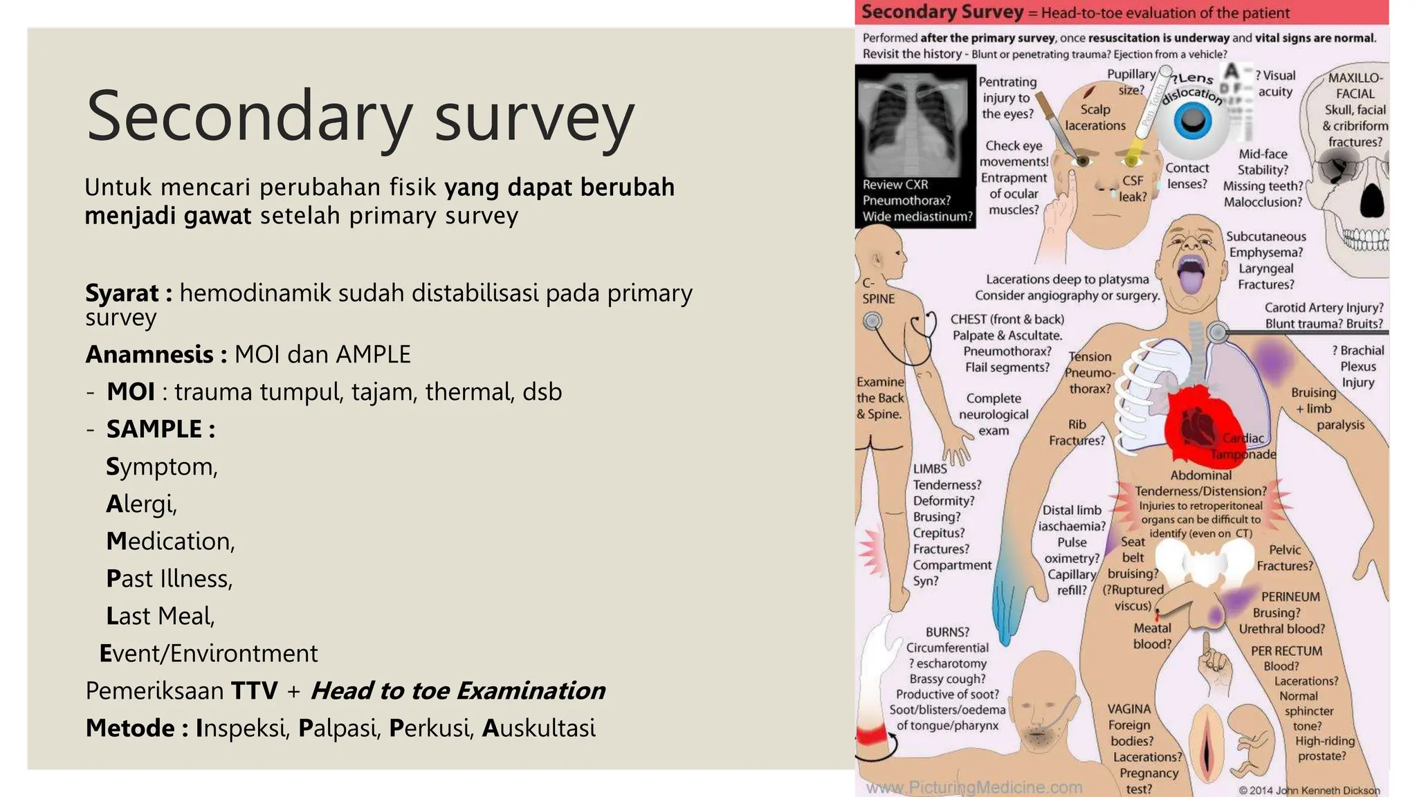 primary and secondary survey in emergency | PPTX