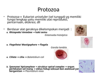 DIGESTIVE DISORDERS Parasitologi (protozoa).ppt