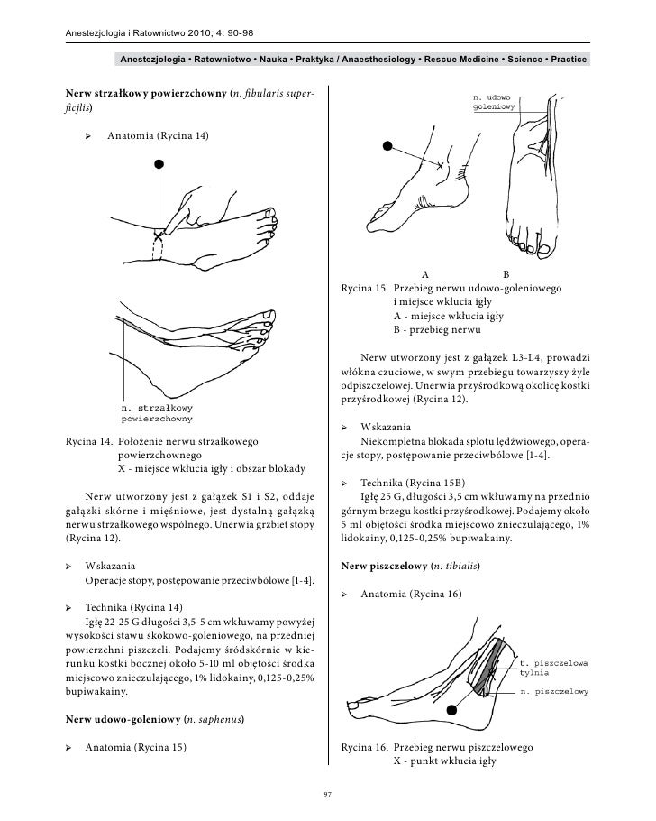 Blokady konczyny dolnej